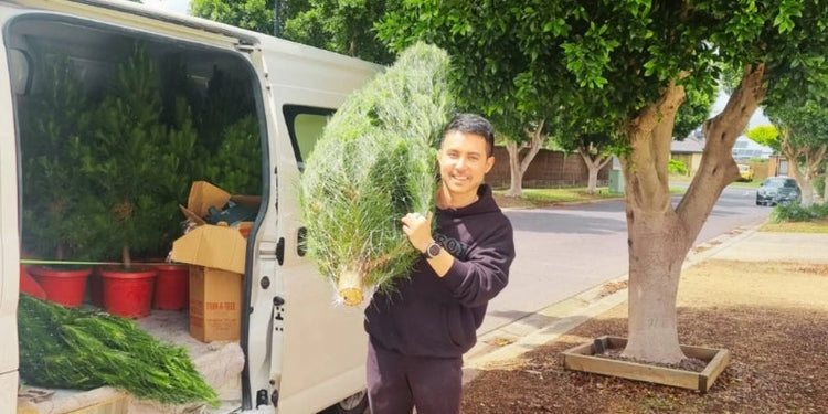 Real Christmas Tree Delivery: Bringing Holiday Joy Right to Your Doors ...